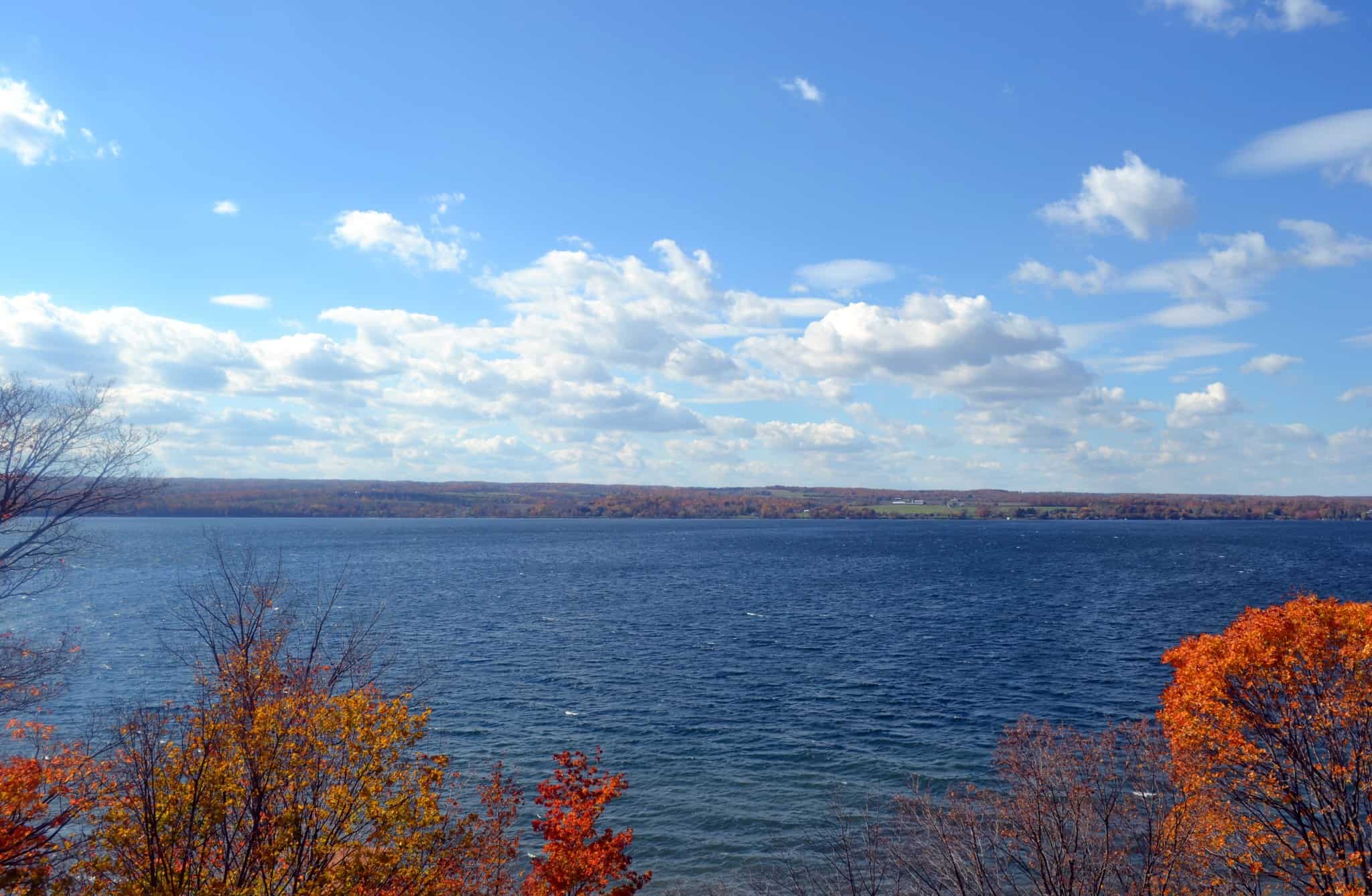 Introducing our Newest Employee: Dr Sam Fessenden - Agricultural ...