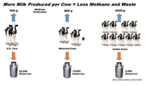 Get some Facts on Greenhouse Gas Emissions and Cattle - The Facts